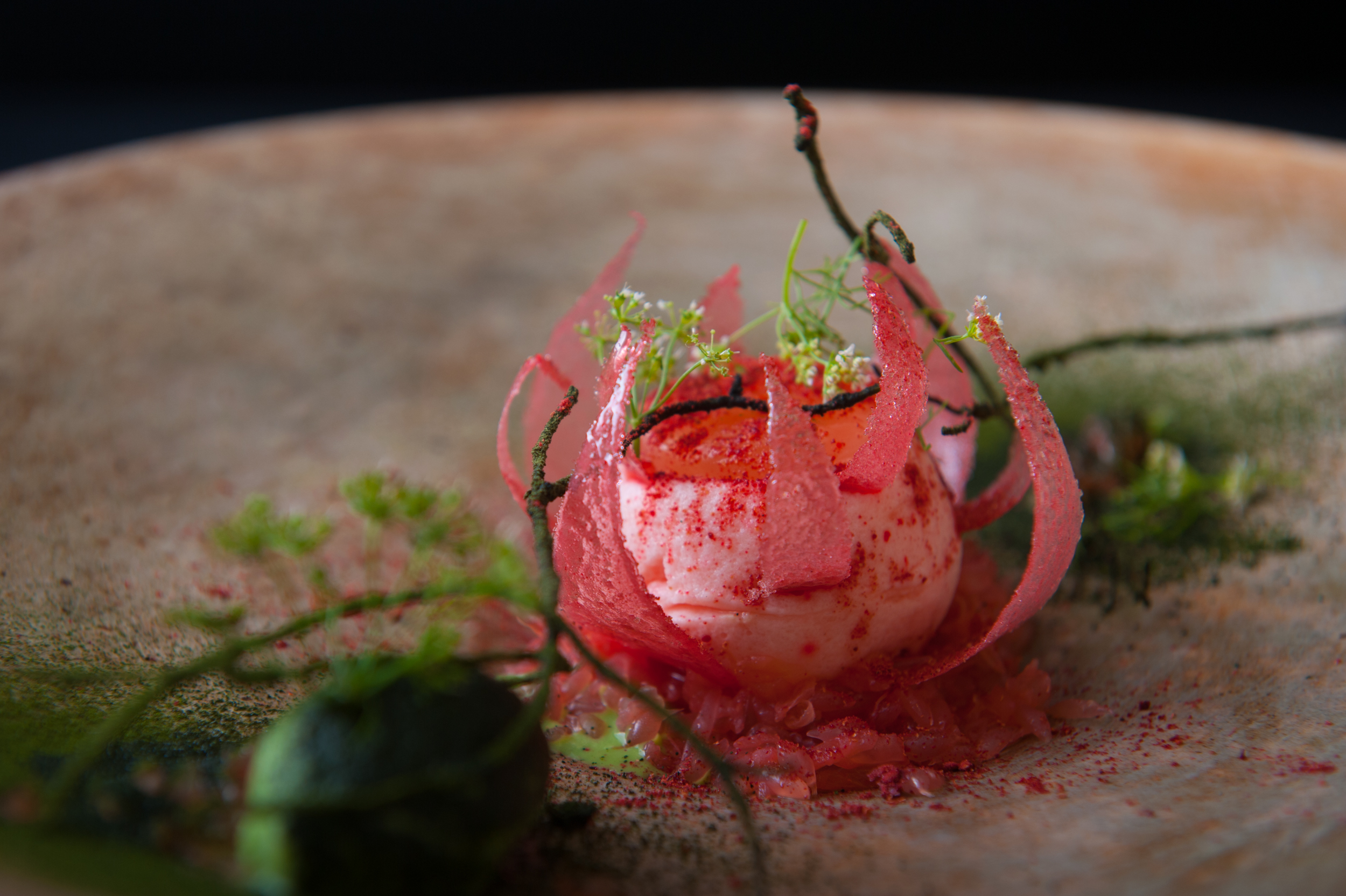 クリスマス期間のお知らせ – le sputnik blog